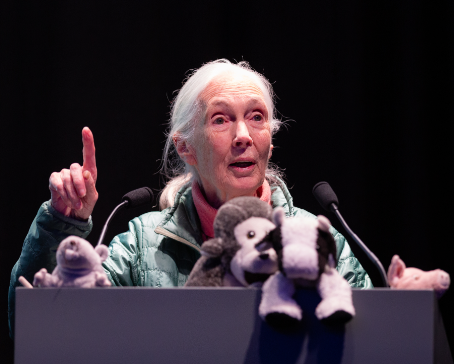 Another wonderful year at Dr Jane Goodall’s Roots & Shoots Awards ...